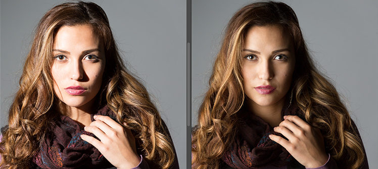 You're Just a Simple $20 Accessory Away From Much Better Portraits ...