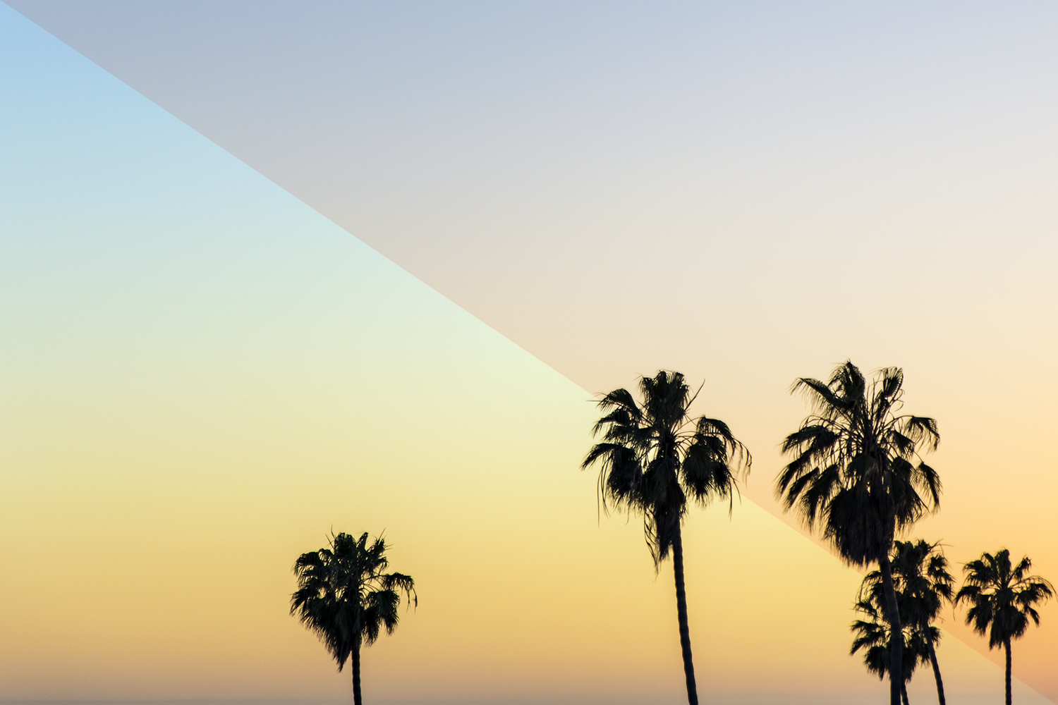 What is Auto Tone? - Scott Kelby's Photoshop Insider