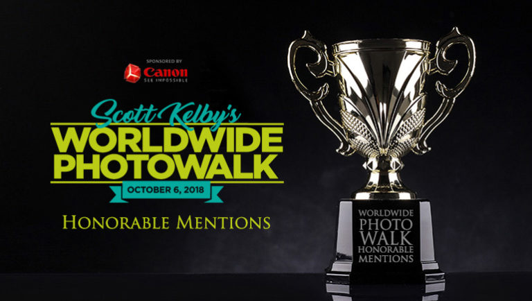 Announcing The Winners From My 11th Annual Worldwide Photo Walk - Scott ...