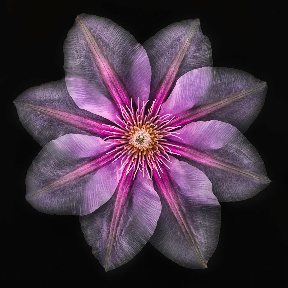Guest Blog: Photographer as Poet, Harold Davis - Scott Kelby's ...