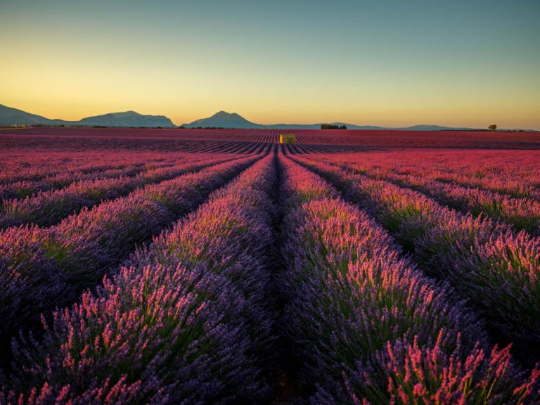 Guest Blog: Photographer, Educator, and Retoucher Serge Ramelli - Scott ...