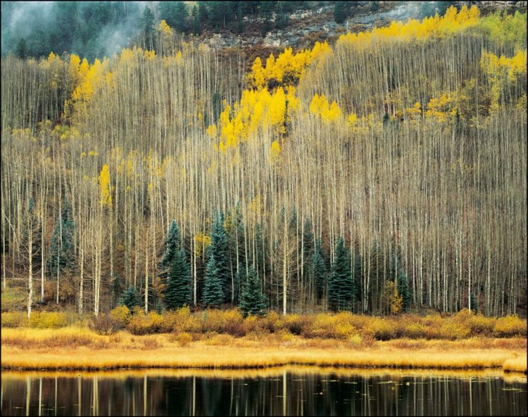 Guest Blog: Landscape Photographer William Neill - Scott Kelby's ...