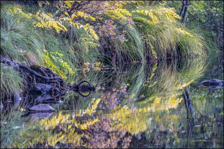 Guest Blog: Landscape Photographer William Neill - Scott Kelby's ...