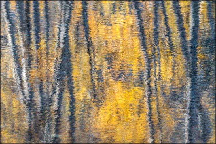 Guest Blog: Landscape Photographer William Neill - Scott Kelby's ...