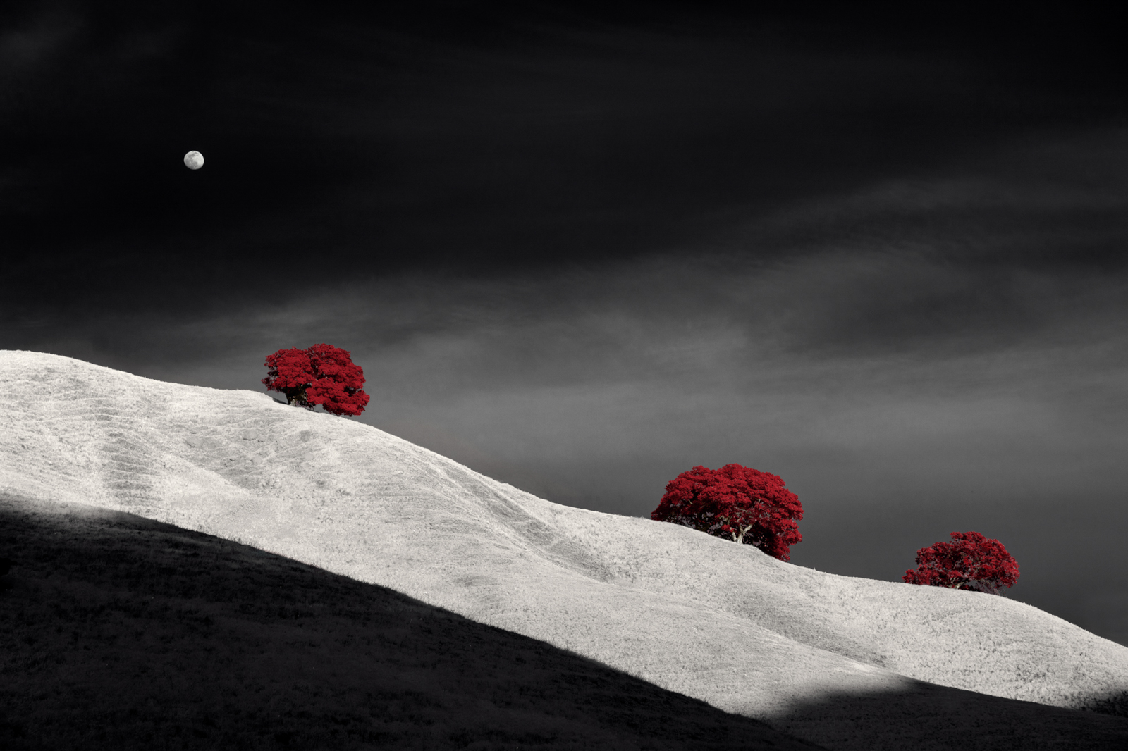 Guest Blog: Infrared Photographer and Visual Artist Rain Hayes - Scott ...