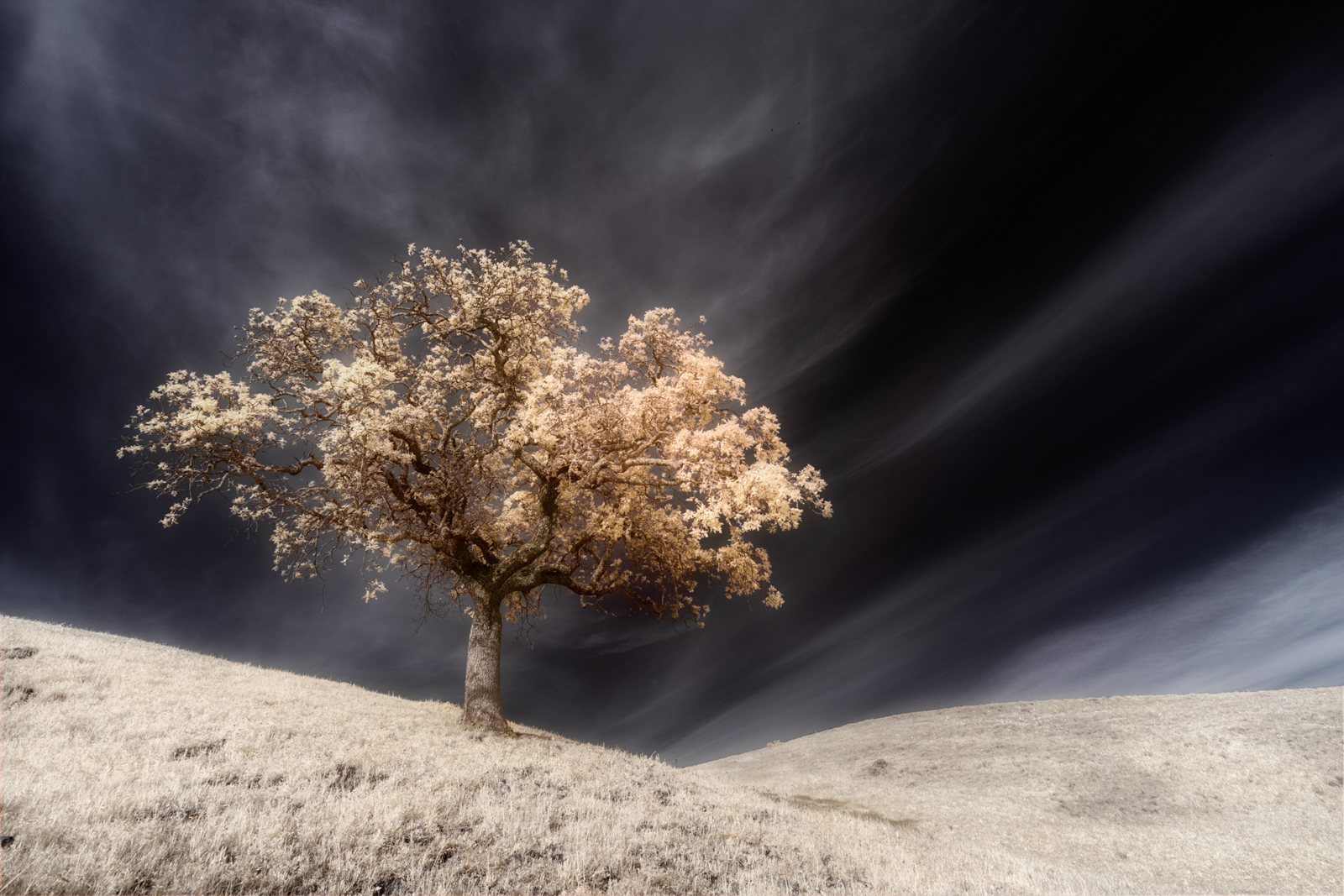 Guest Blog: Infrared Photographer and Visual Artist Rain Hayes - Scott ...